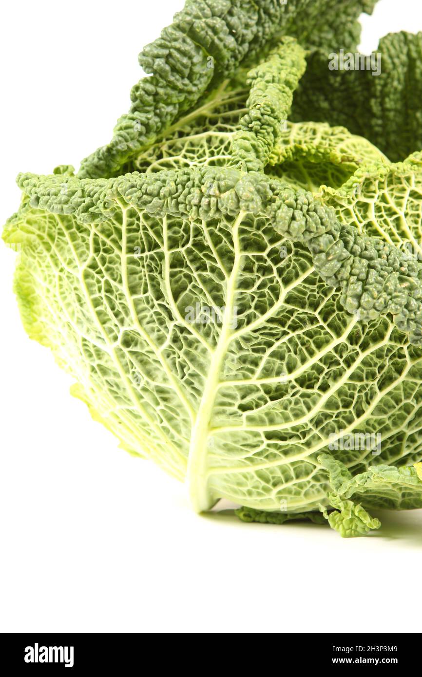 Vertical shot of a fresh savoy cabbage isolated on a white background ...