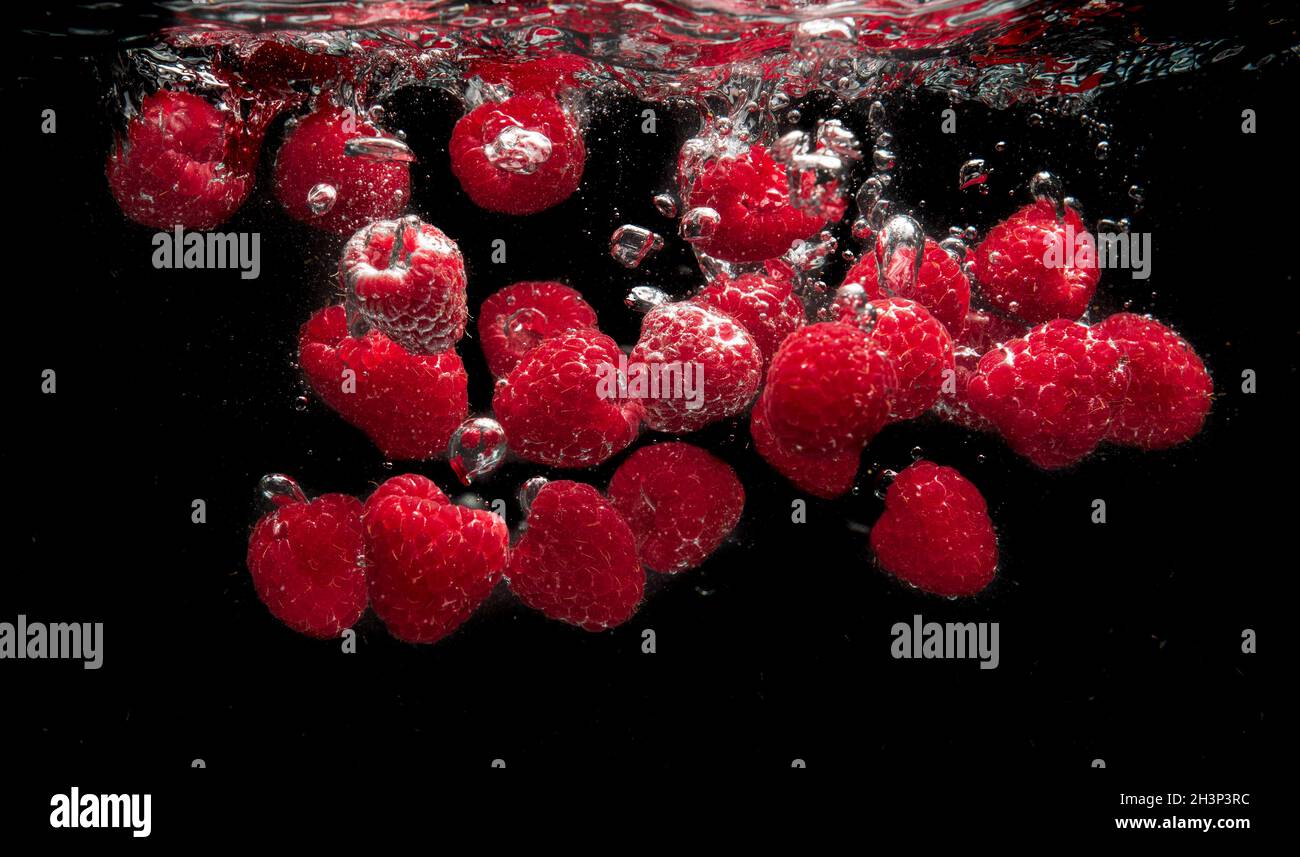 Raspberries falling into water isolated on black background Stock Photo ...