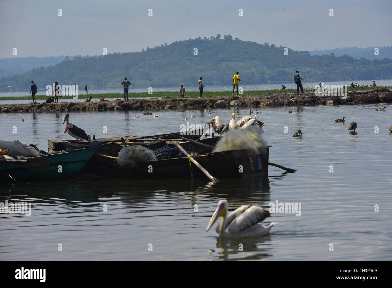 Hawassa, Ethiopia. 29th Oct, 2021. Young people fish at Hawassa Lake in ...