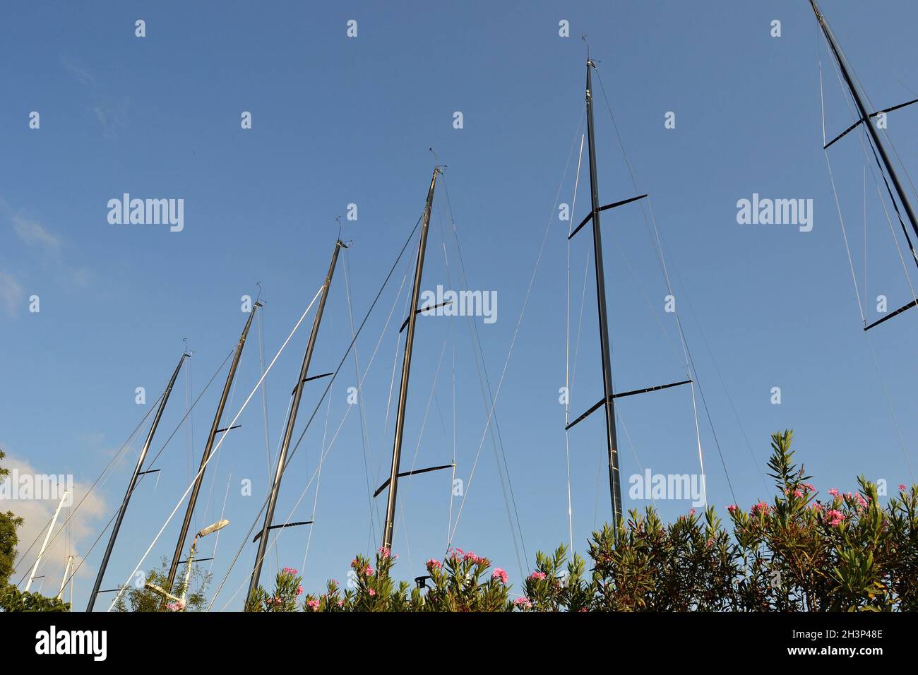 Tall boat masts hi-res stock photography and images - Alamy