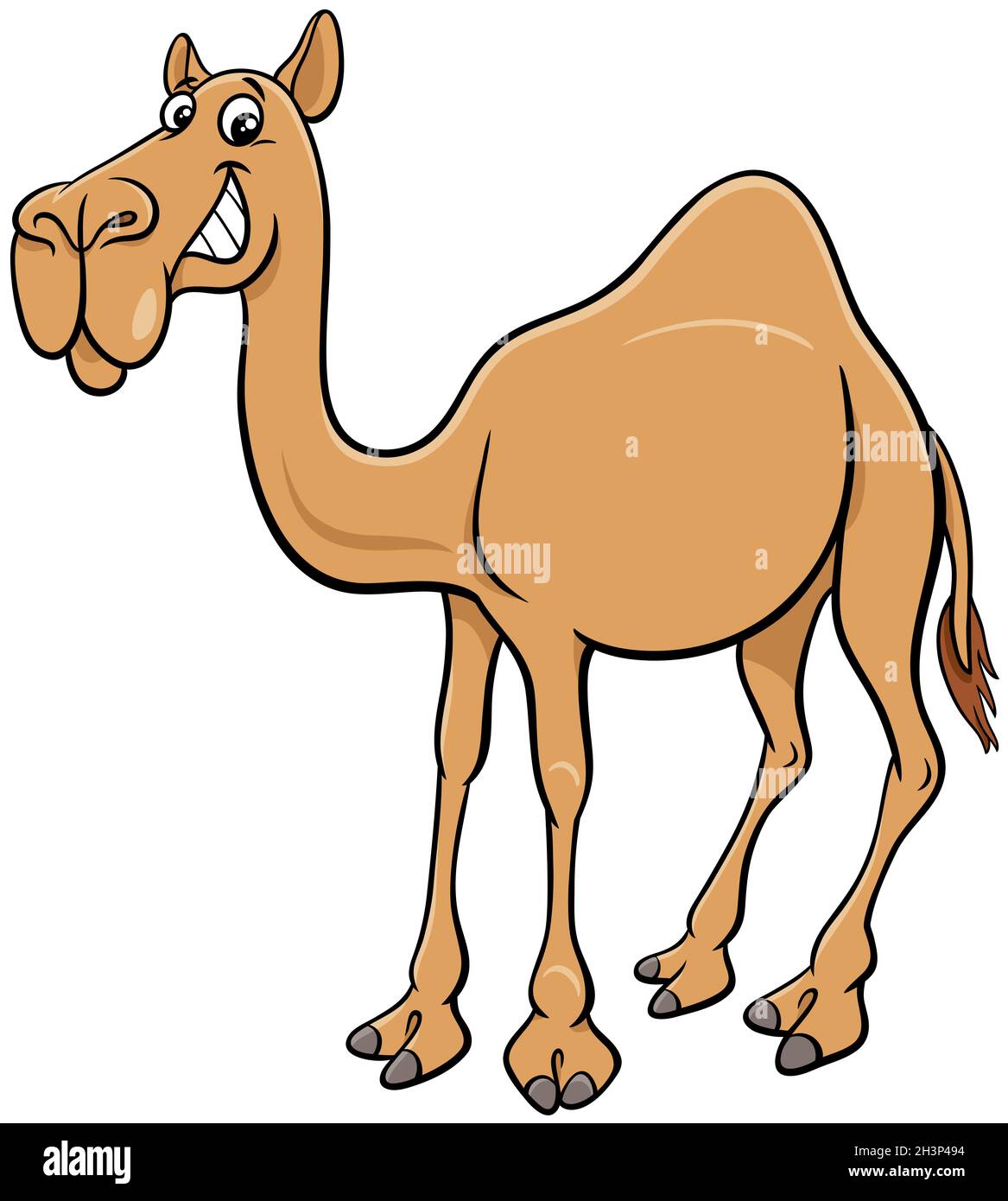 Cartoon dromedary camel comic animal character Stock Photo - Alamy