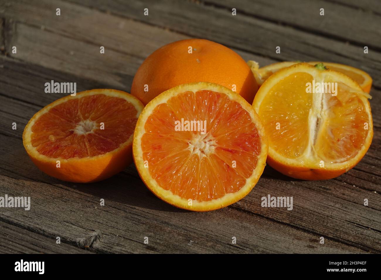 Citrus x sinensis Tarocco, Half-blood orange Stock Photo - Alamy