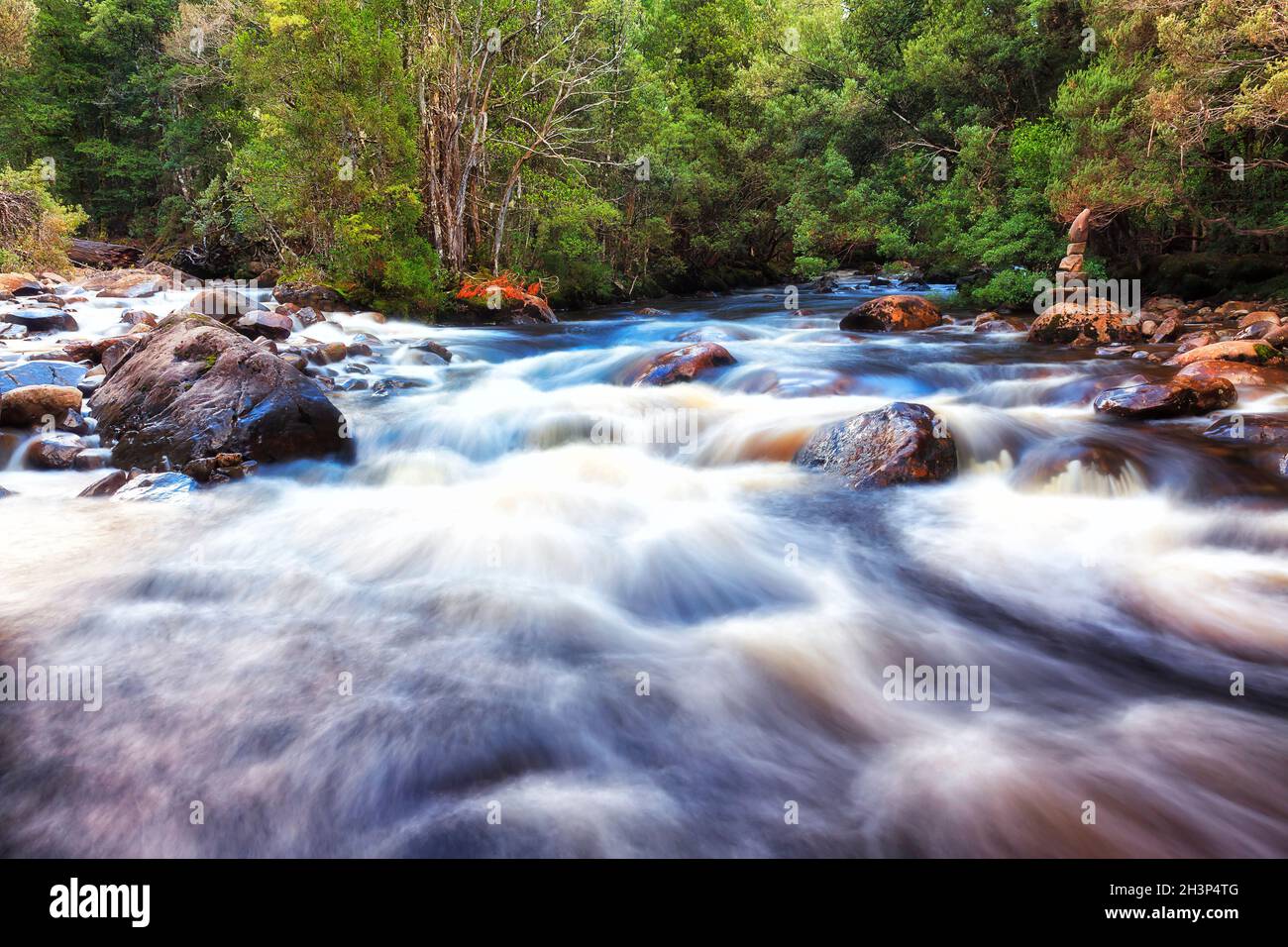 River meet point on Cuvier river near entrance to Platypus bay of Lake ...