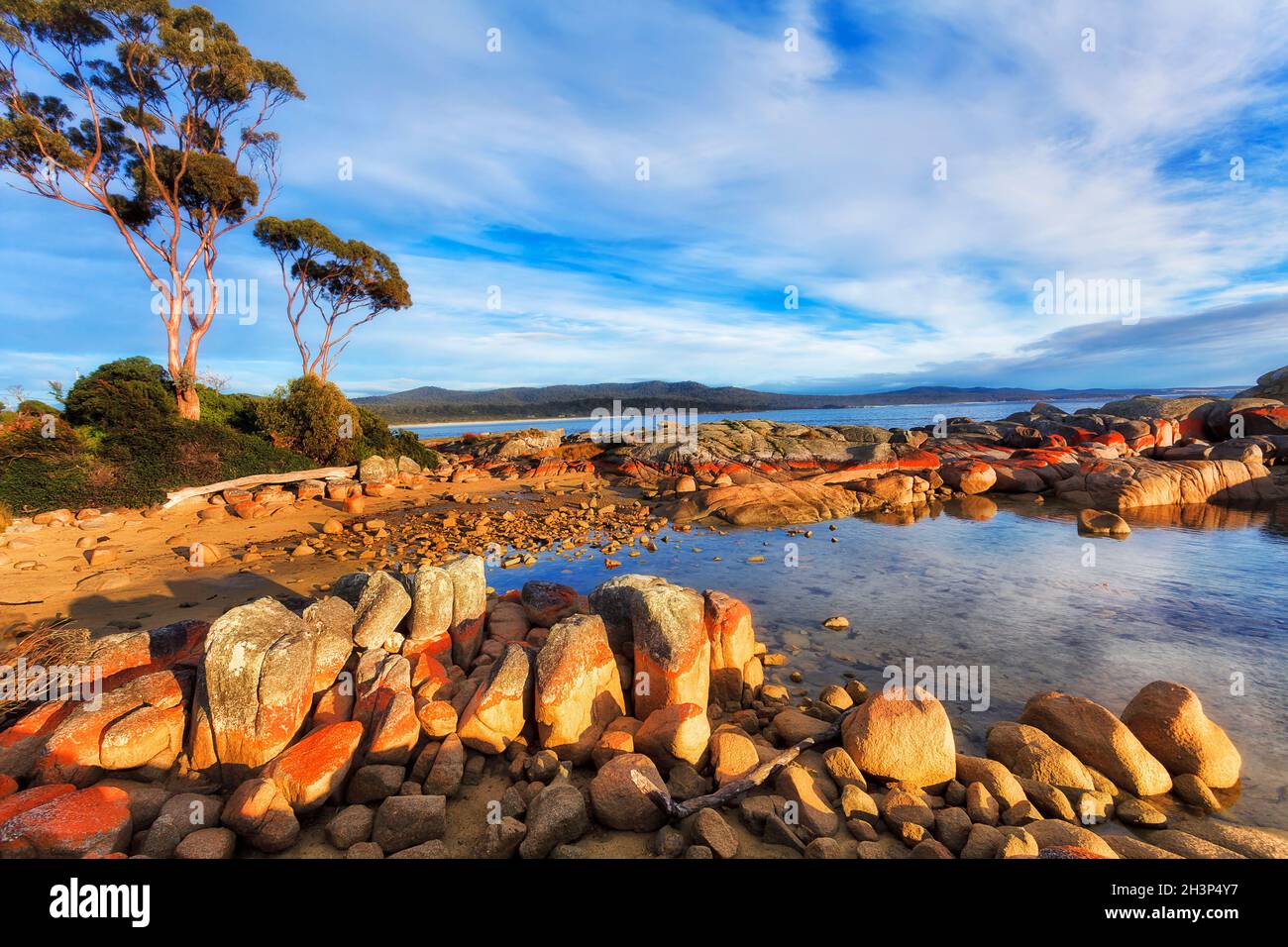 Red lichen covered granite rock boulders in Bay of Fire Binalong bay of ...