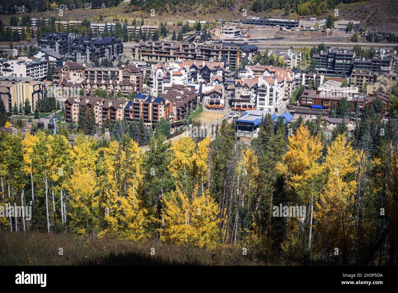 Fall foliage on Vail Mountain in Vail, Colorado Stock Photo - Alamy