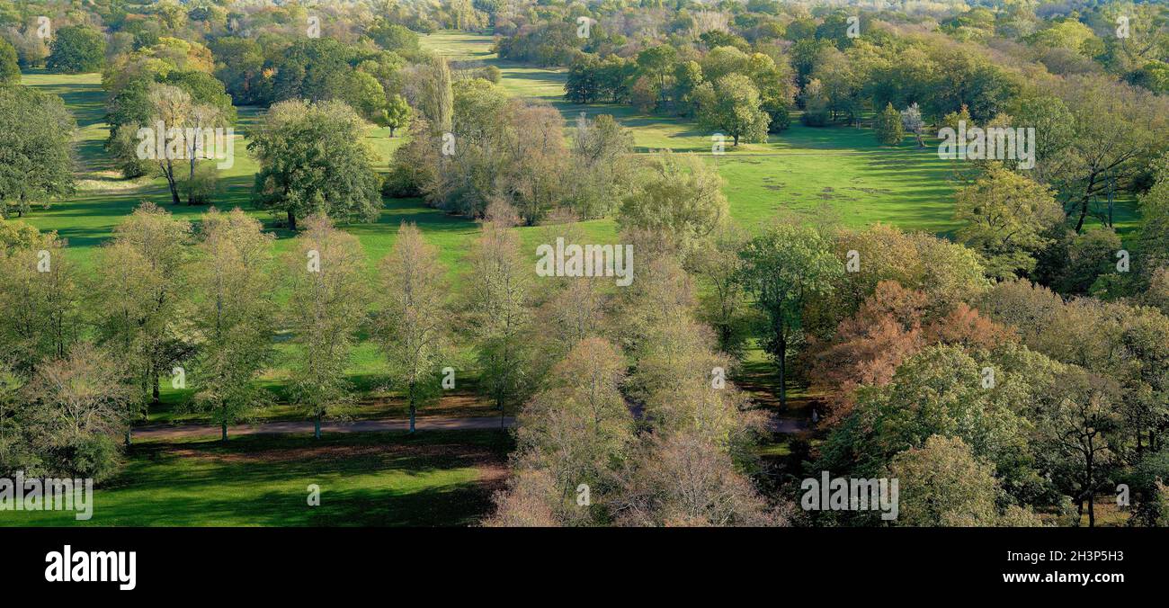 Aerial view of Rotehorn city park in Magdeburg in Summer Stock Photo ...