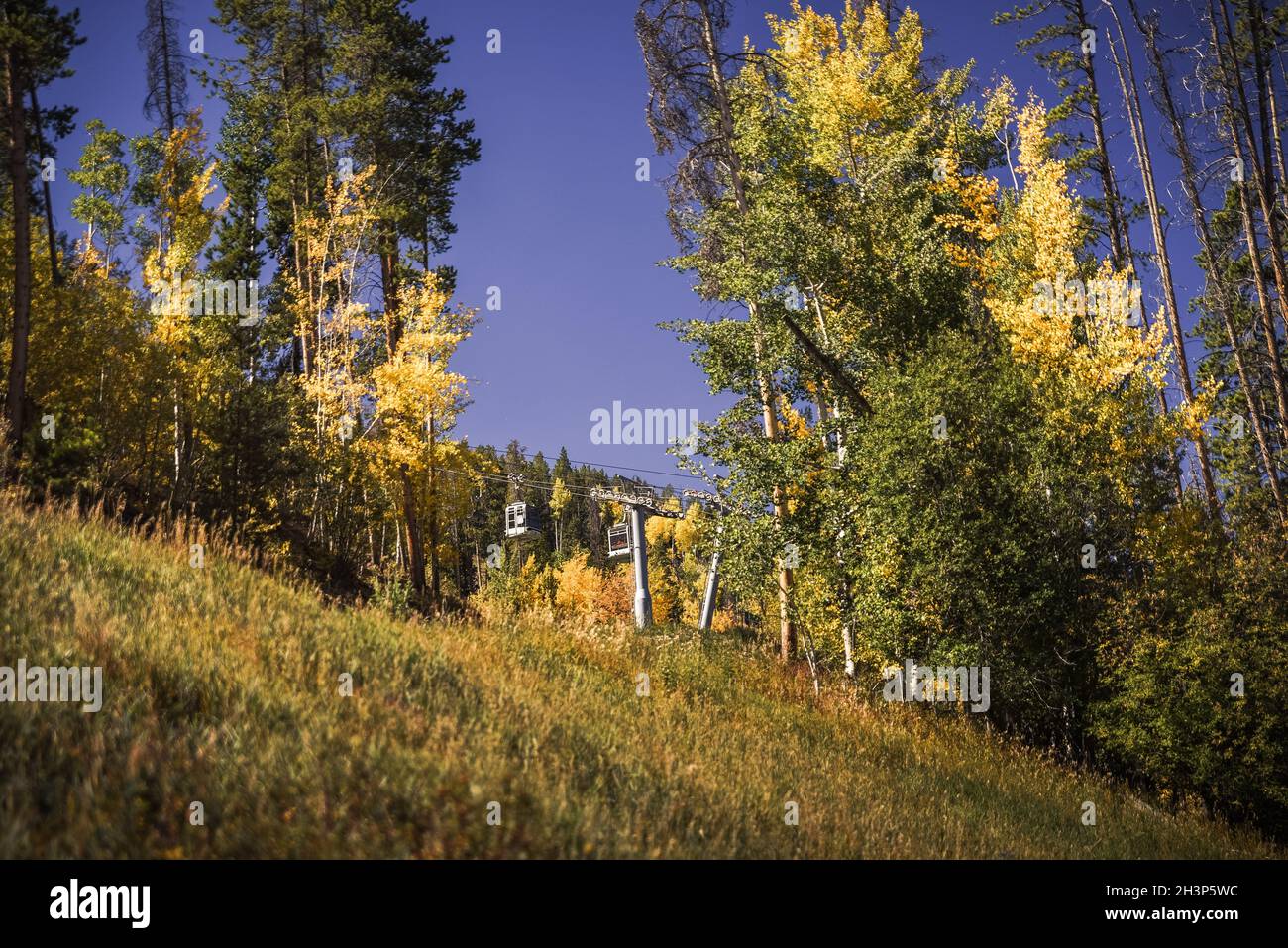 Fall foliage on Vail Mountain in Vail, Colorado Stock Photo - Alamy
