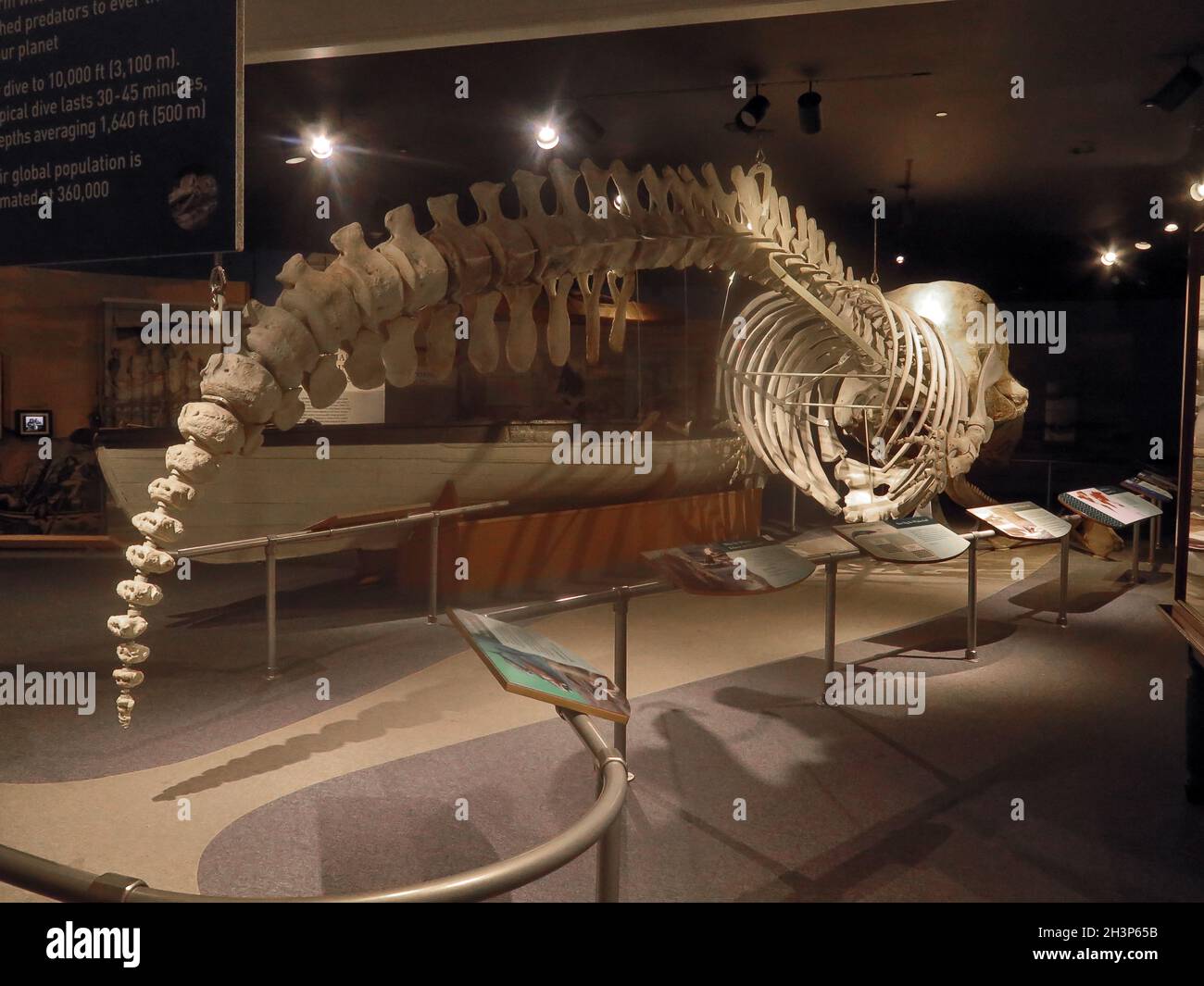 American whaling industry hi-res stock photography and images - Alamy