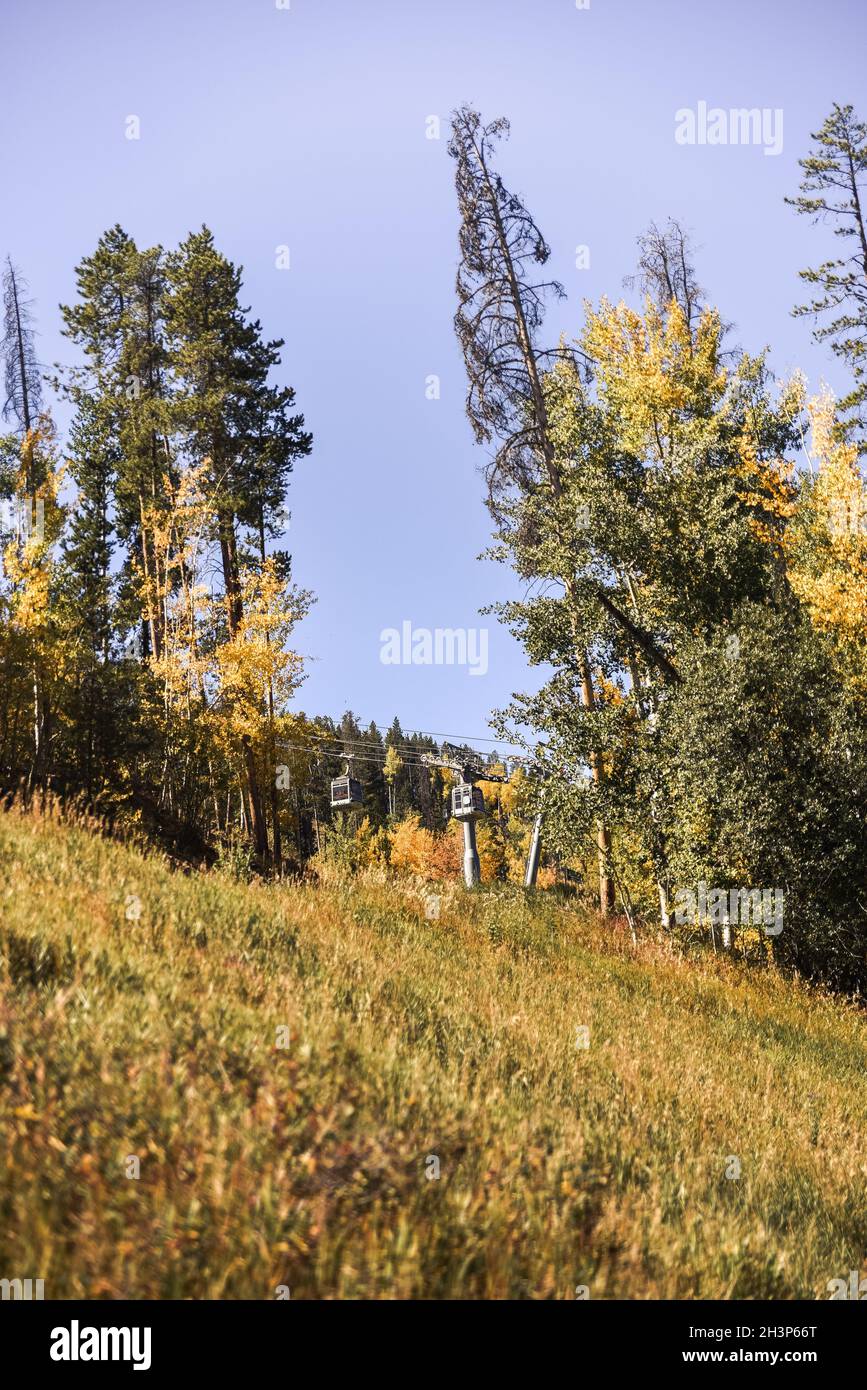 Fall foliage on Vail Mountain in Vail, Colorado Stock Photo - Alamy