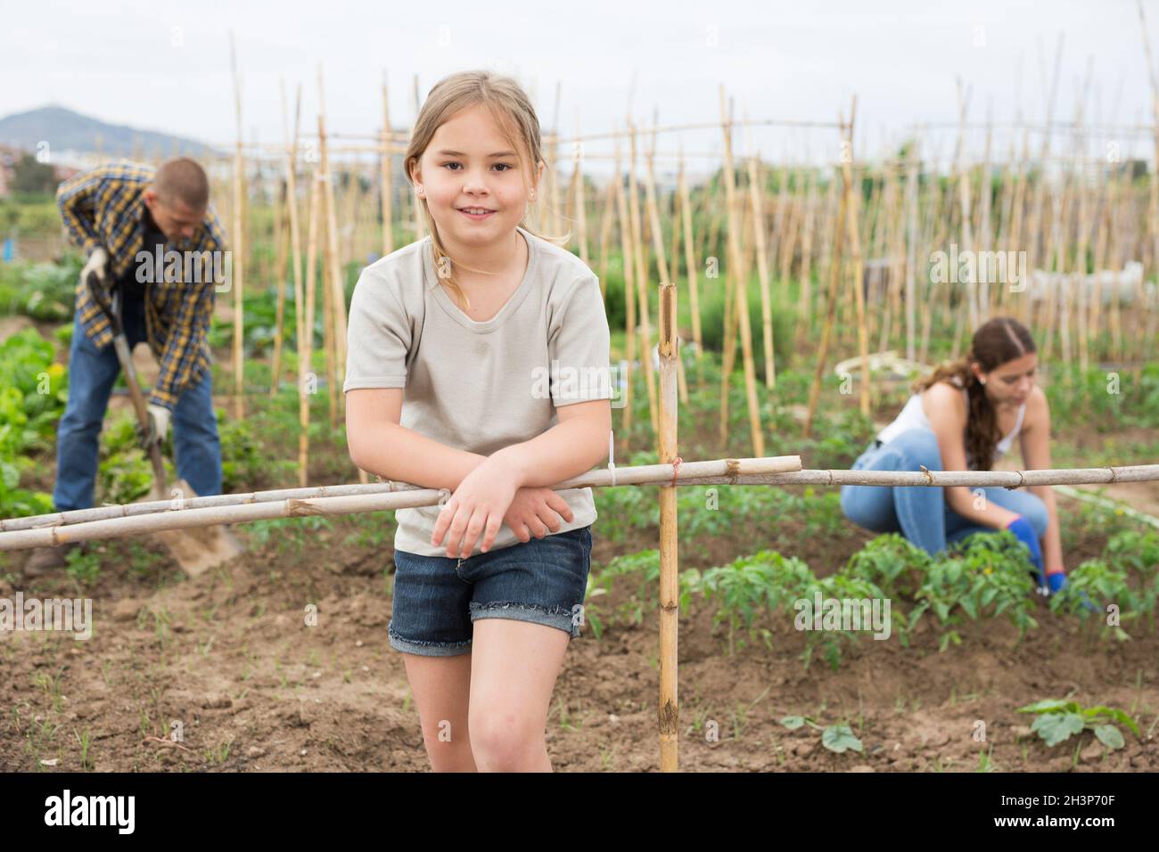 Portrait of little girl on farm field Stock Photo - Alamy