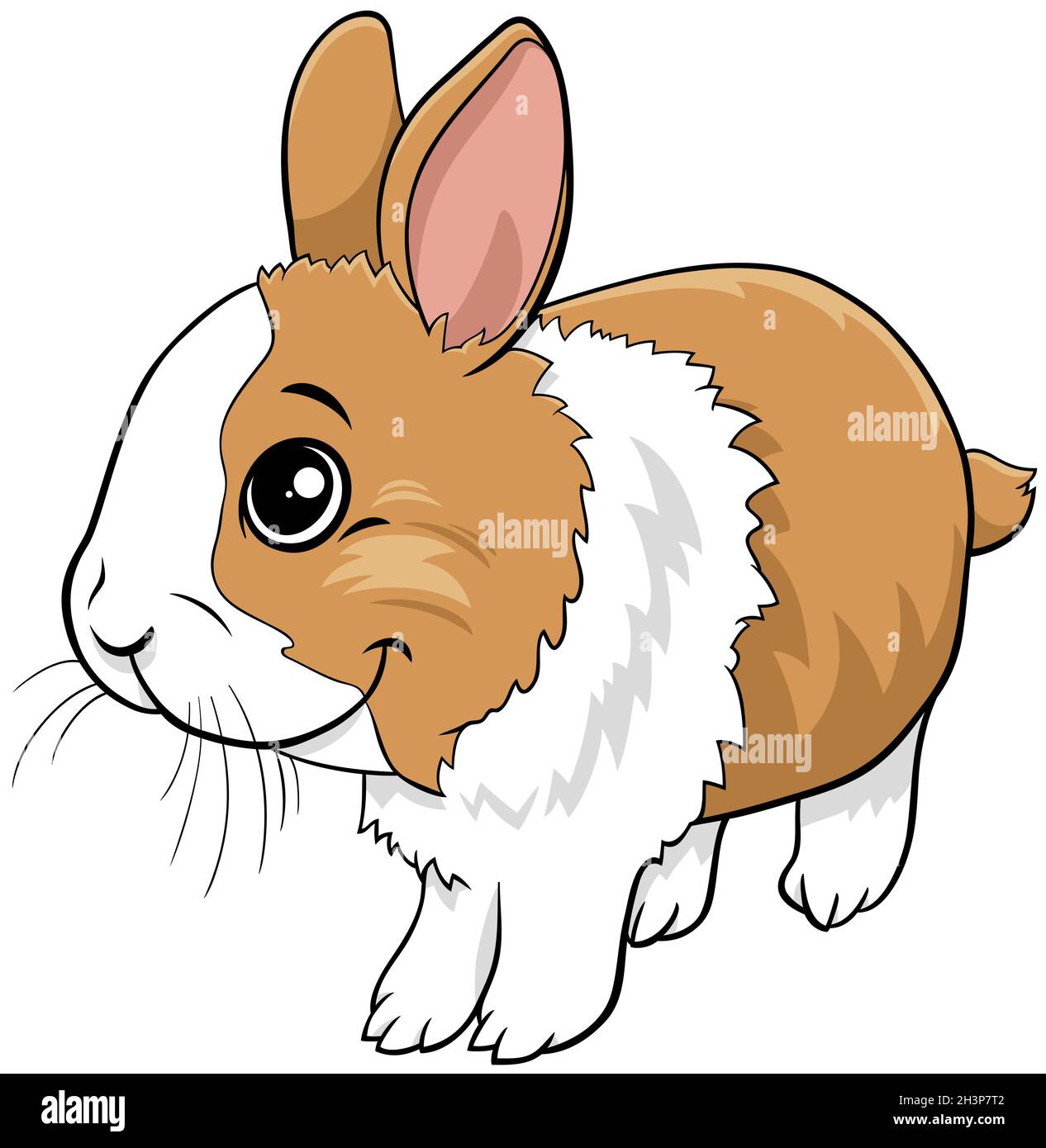 Cartoon dwarf rabbit comic animal character Stock Photo - Alamy