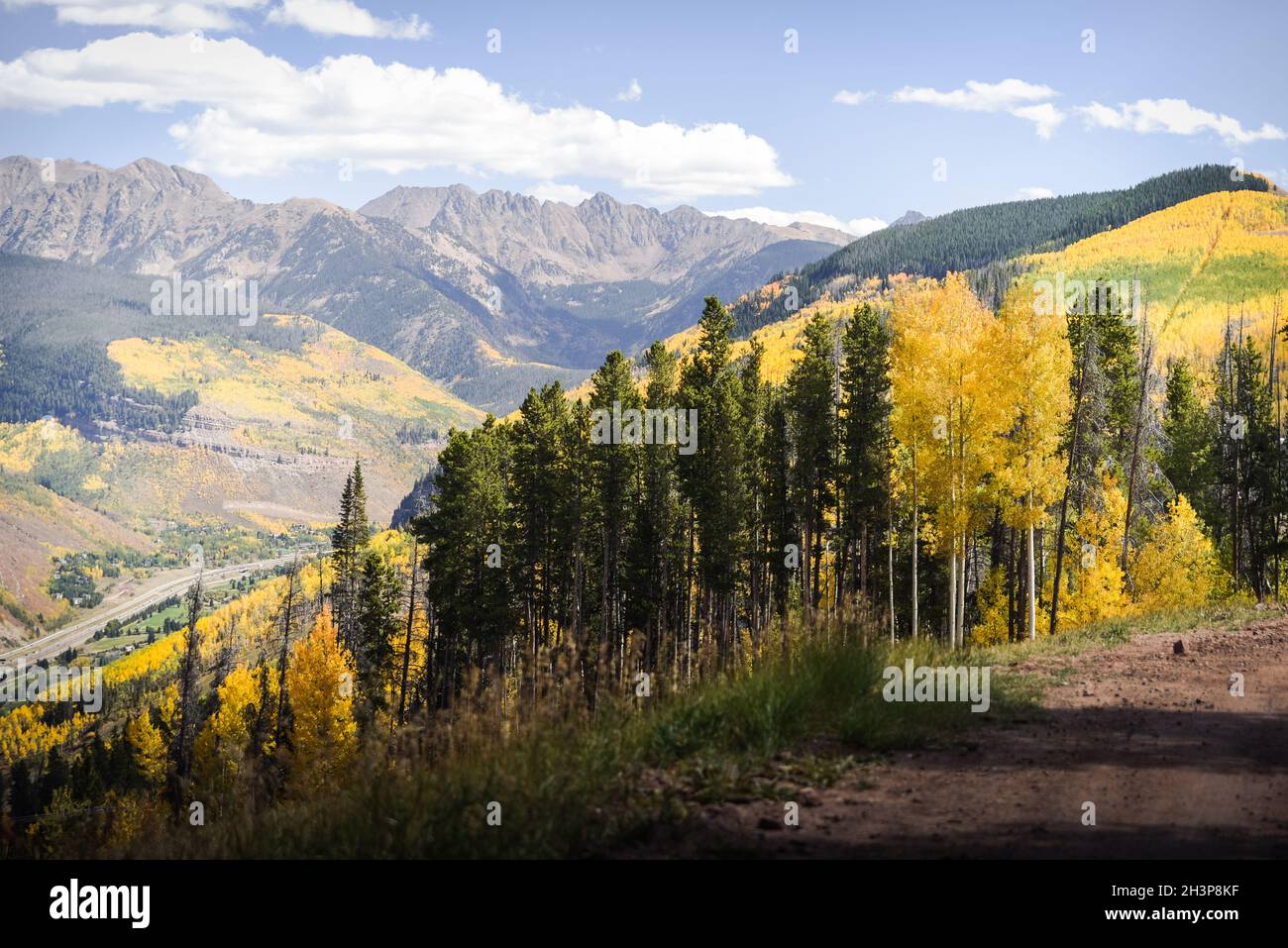 Fall foliage on Vail Mountain in Vail, Colorado Stock Photo - Alamy