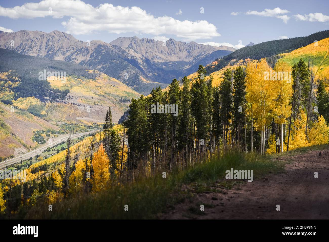 Fall foliage on Vail Mountain in Vail, Colorado Stock Photo - Alamy