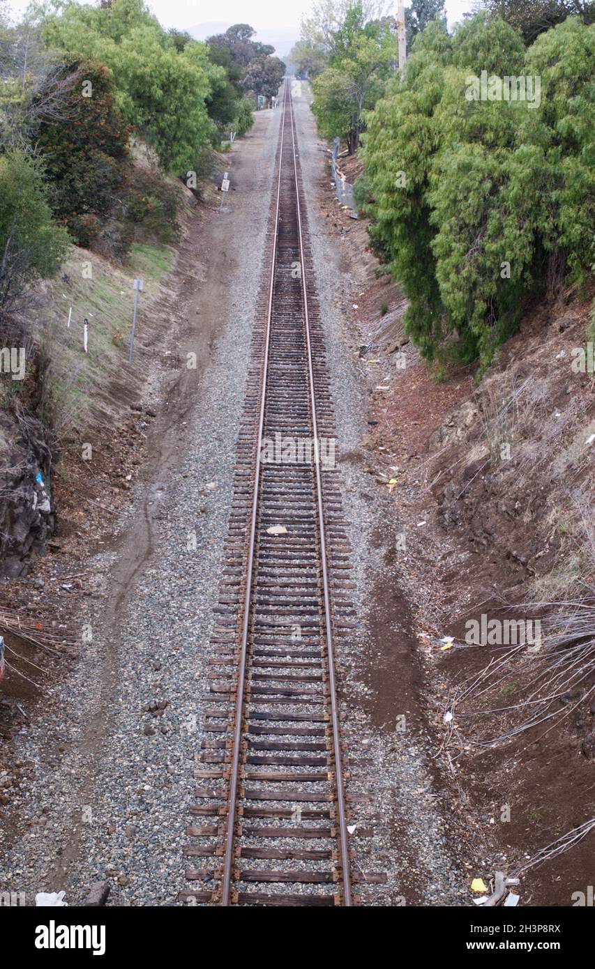 Tree lined train tracks hi-res stock photography and images - Alamy