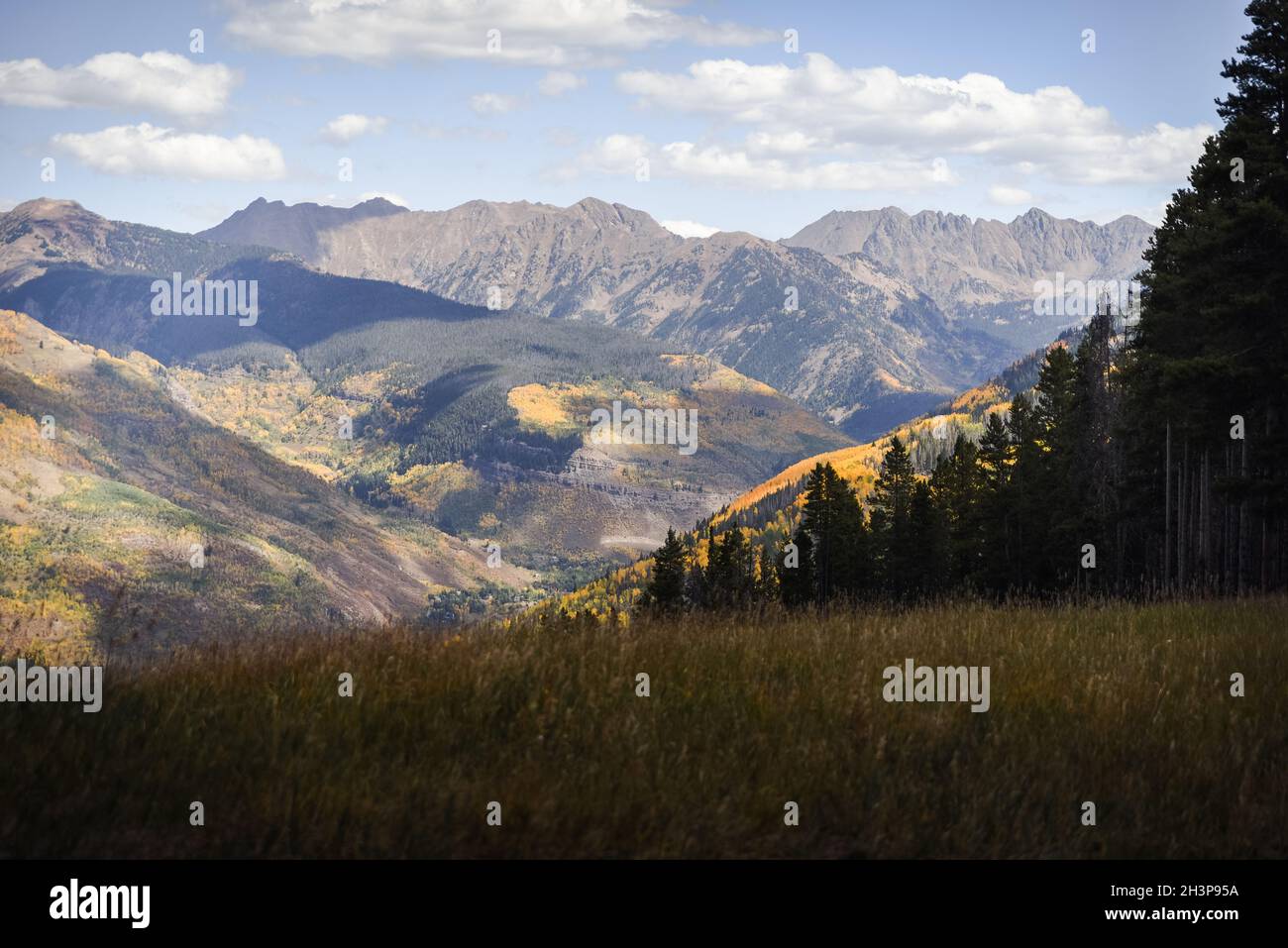 Fall foliage on Vail Mountain in Vail, Colorado Stock Photo - Alamy