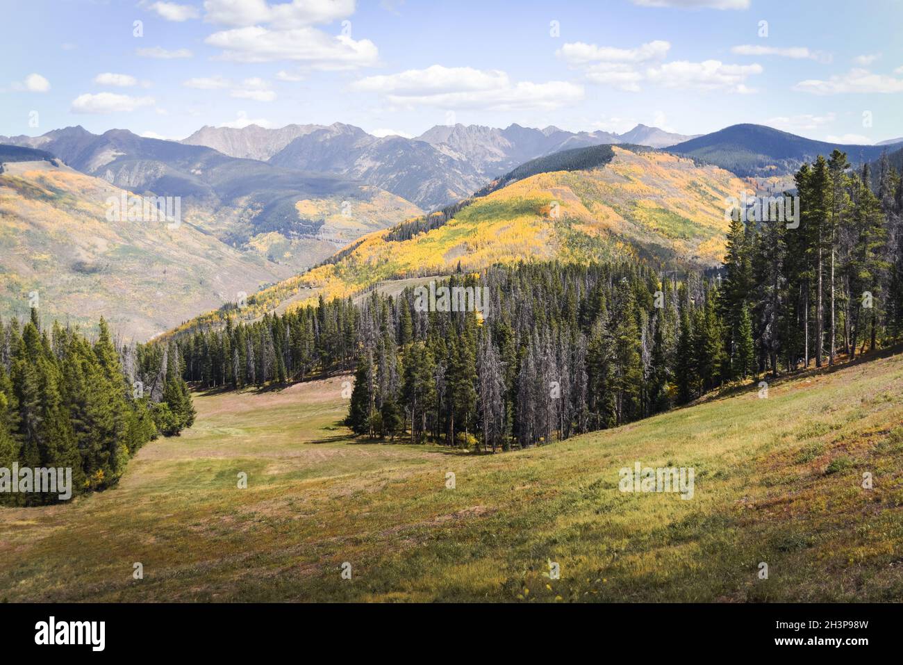 Fall foliage on Vail Mountain in Vail, Colorado Stock Photo - Alamy