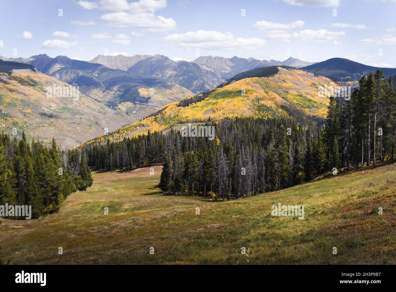 Fall foliage on Vail Mountain in Vail, Colorado Stock Photo - Alamy