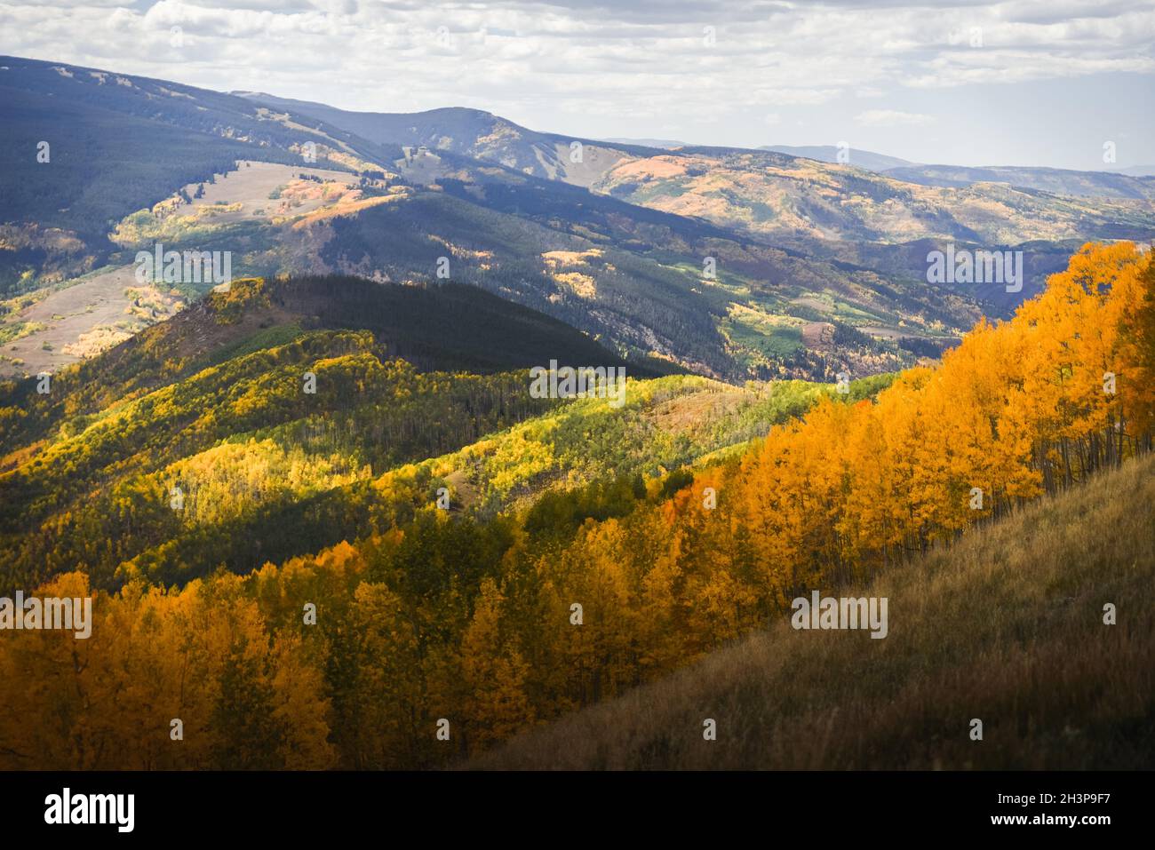 Fall foliage on Vail Mountain in Vail, Colorado Stock Photo - Alamy