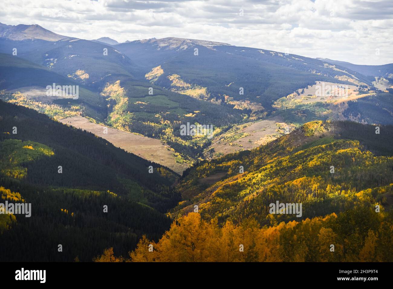 Fall foliage on Vail Mountain in Vail, Colorado Stock Photo - Alamy