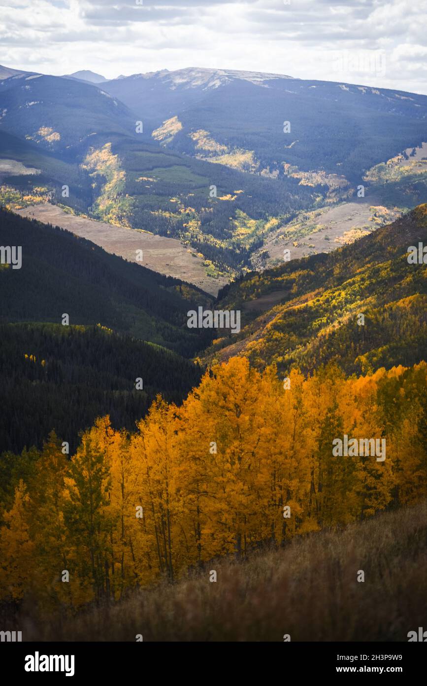 Fall foliage on Vail Mountain in Vail, Colorado Stock Photo - Alamy