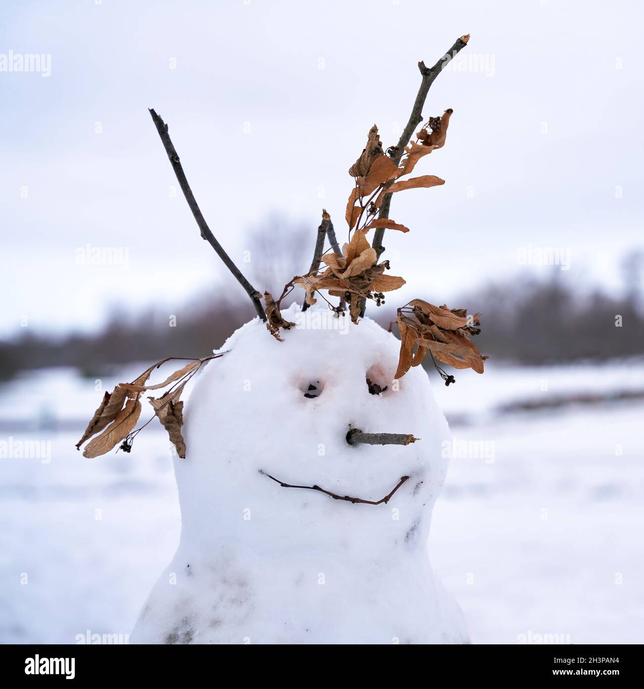 Snowman park hi-res stock photography and images - Alamy