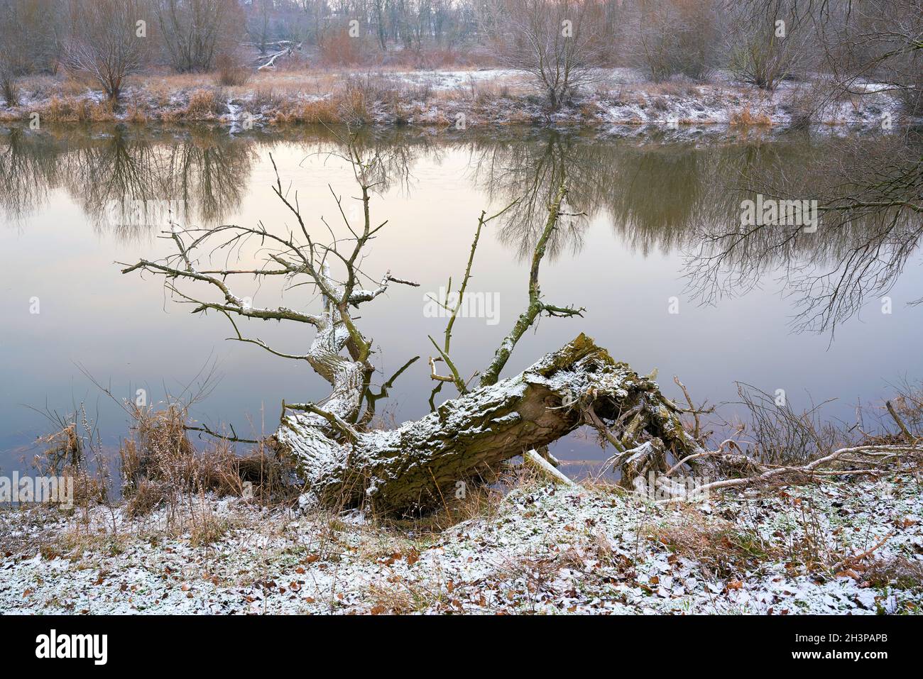 Dead log on river bank hi-res stock photography and images - Alamy