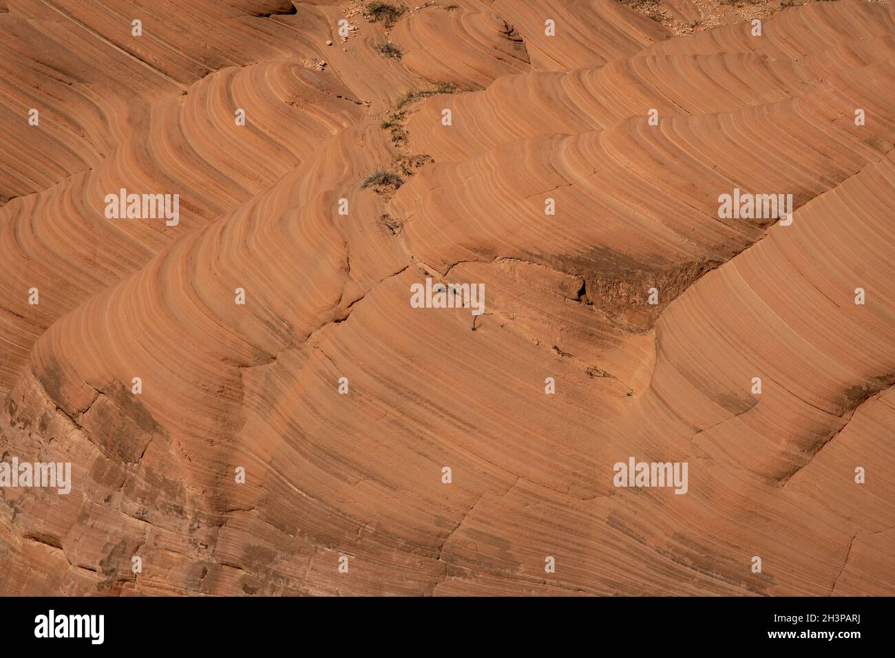 The Jingbian Wave Valley is a red sandstone landform in northern ...