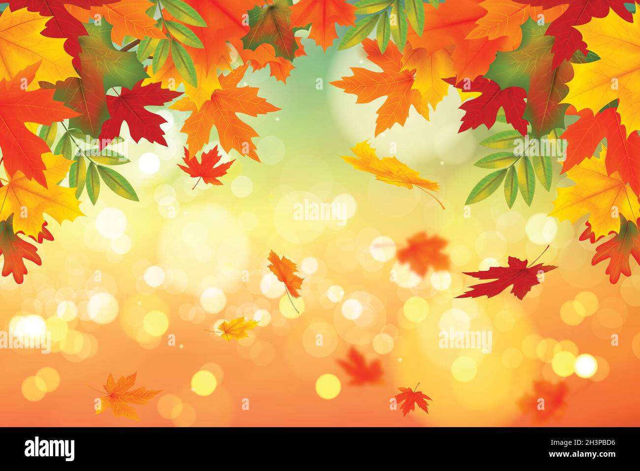 realistic autumn background vector design illustration Stock Vector ...