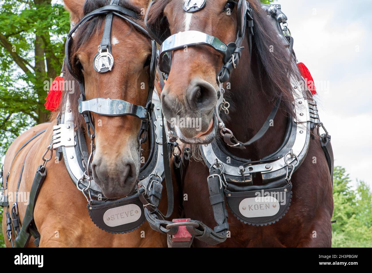 Pending light hi-res stock photography and images - Alamy