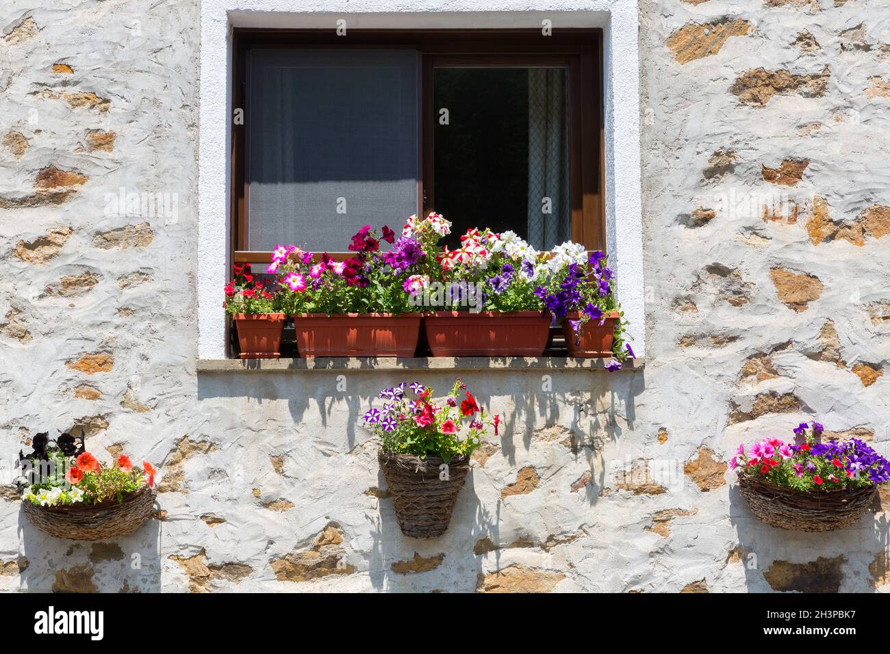Flowers and sunny window hi-res stock photography and images - Alamy