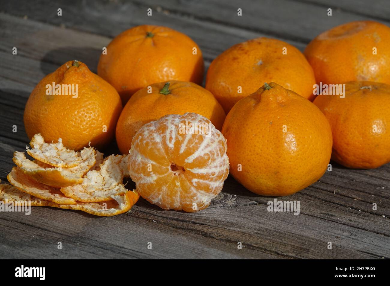 Citrus reticulata Tardivo di Ciaculli, mandarin Stock Photo - Alamy