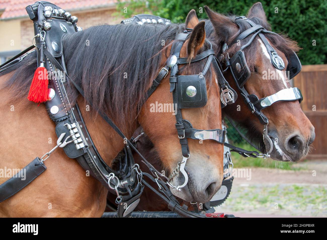 Pending light hi-res stock photography and images - Alamy
