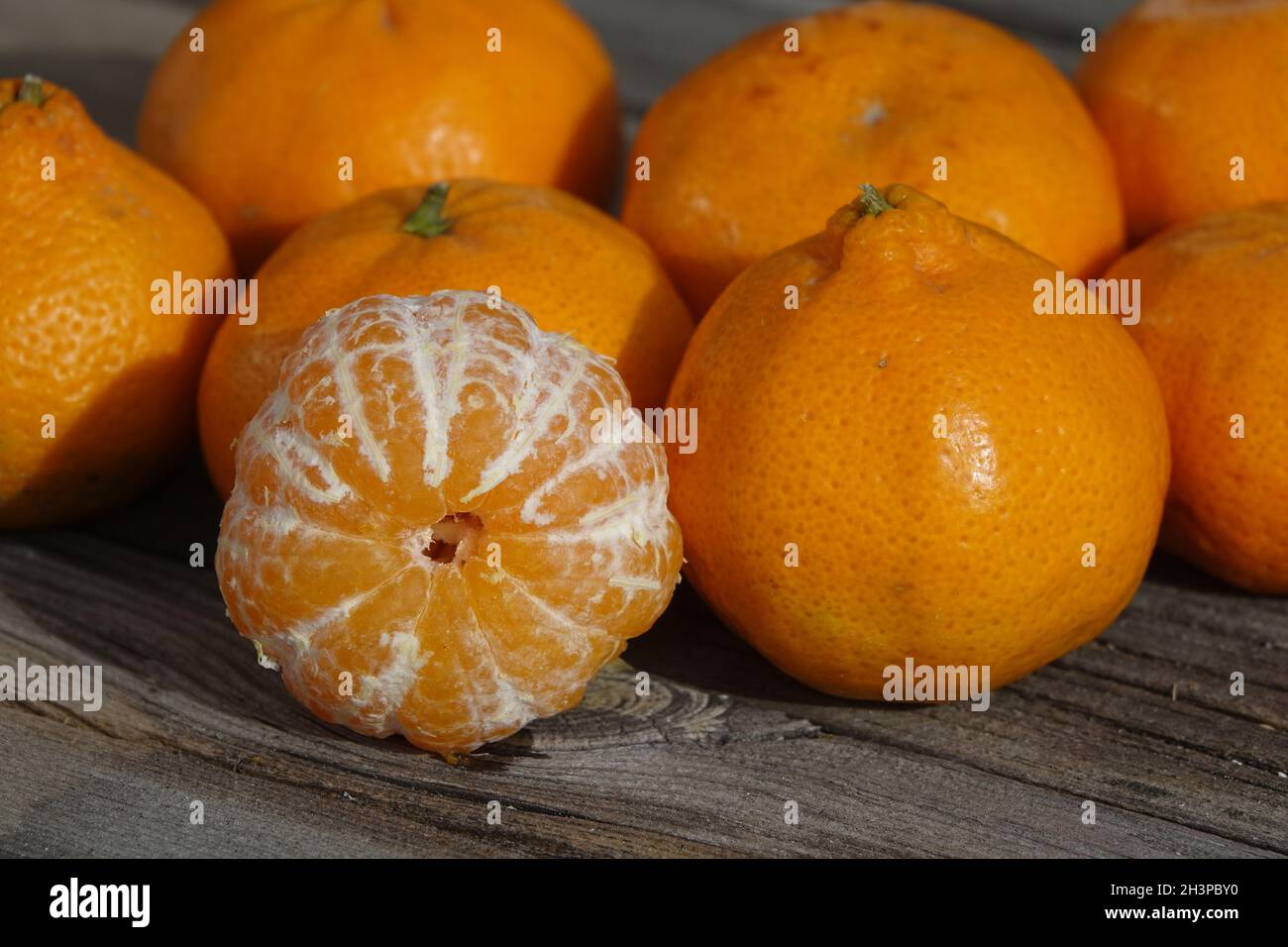 Citrus reticulata Tardivo di Ciaculli, mandarin Stock Photo - Alamy