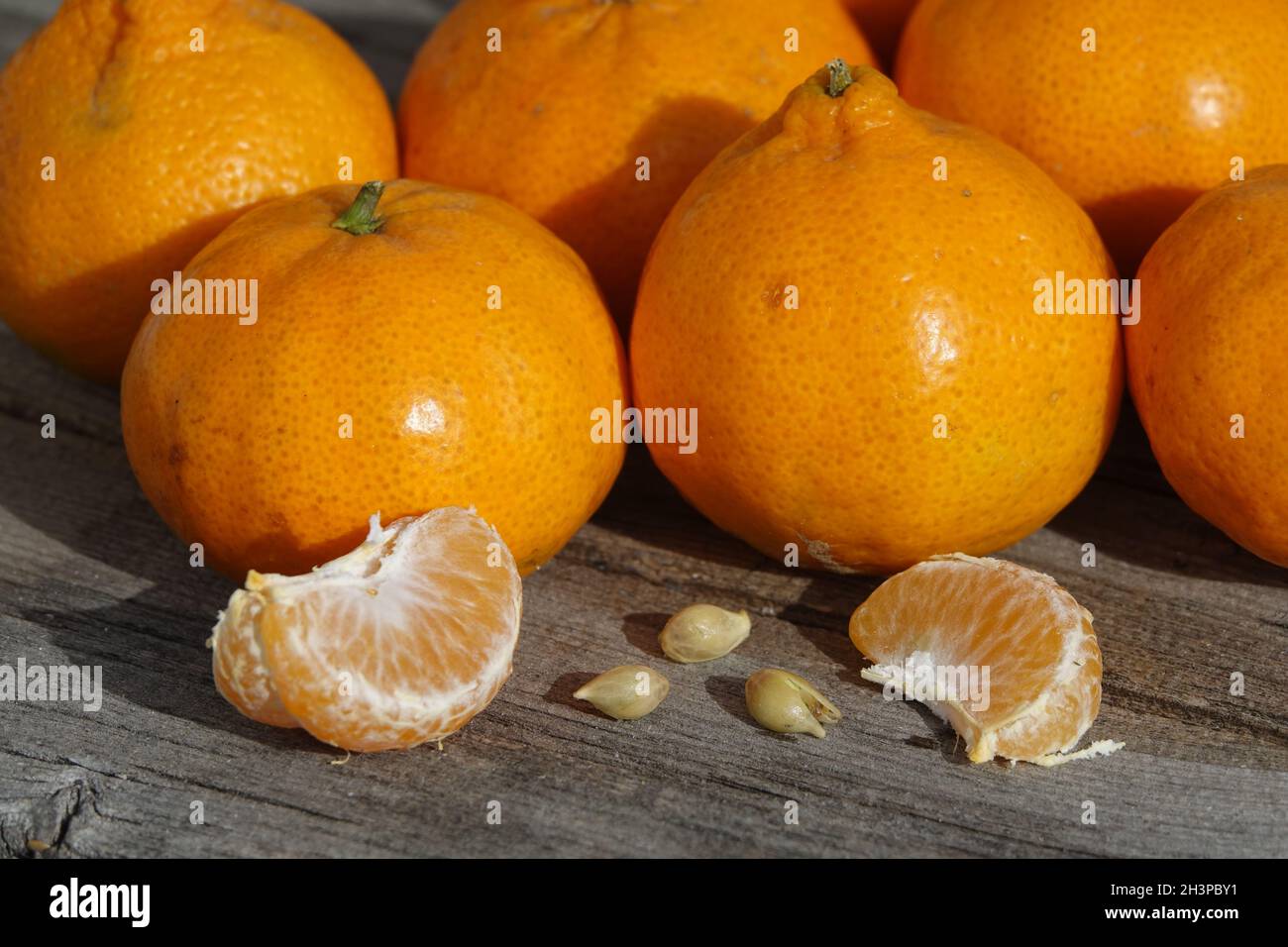 Citrus reticulata Tardivo di Ciaculli, mandarin Stock Photo - Alamy
