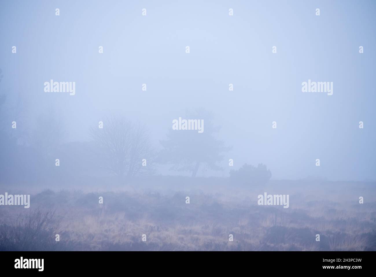 Fog lover hi-res stock photography and images - Alamy