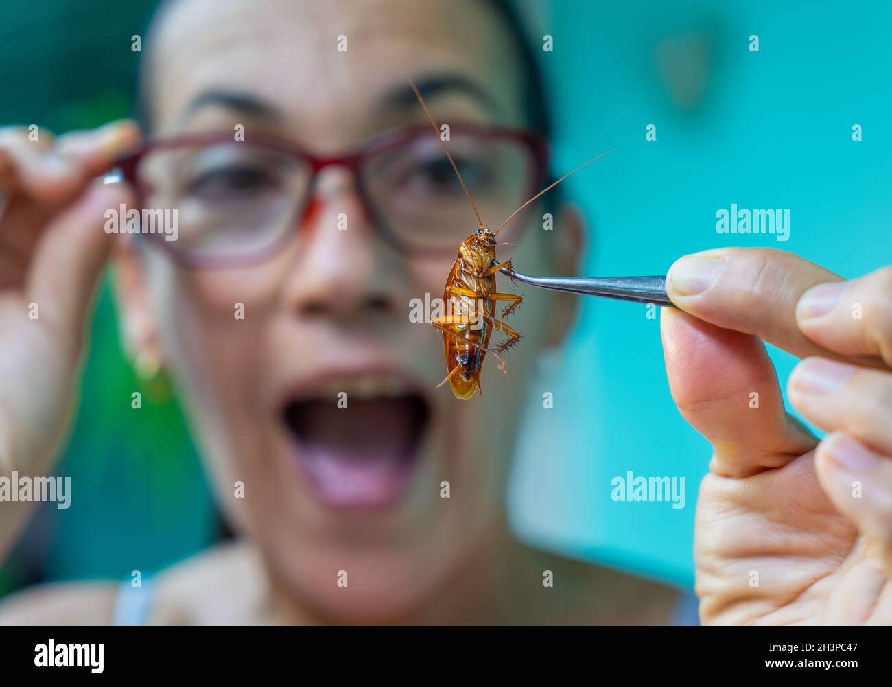 Human cockroach hi-res stock photography and images - Alamy
