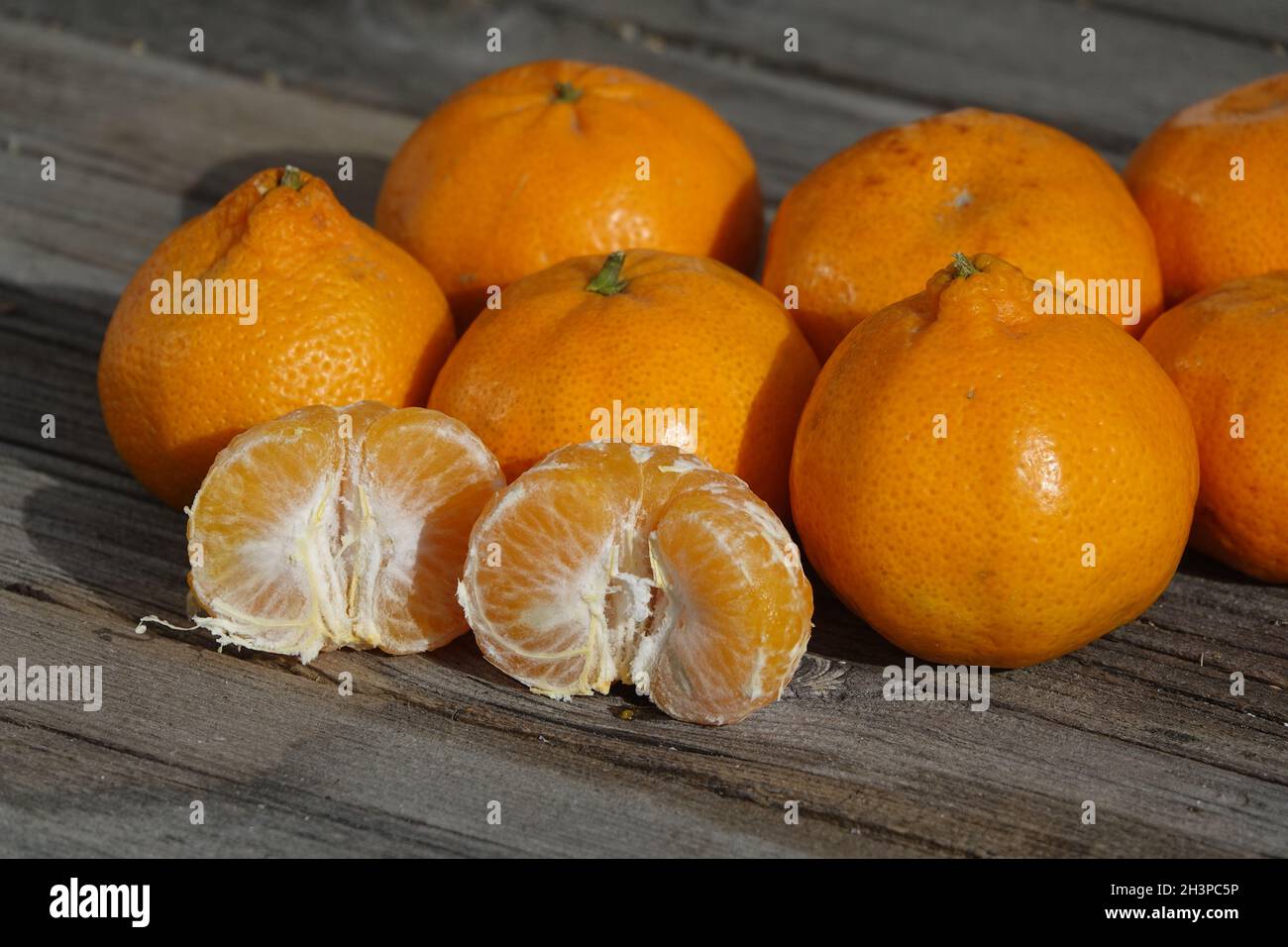 Tardivo di ciaculli hi-res stock photography and images - Alamy
