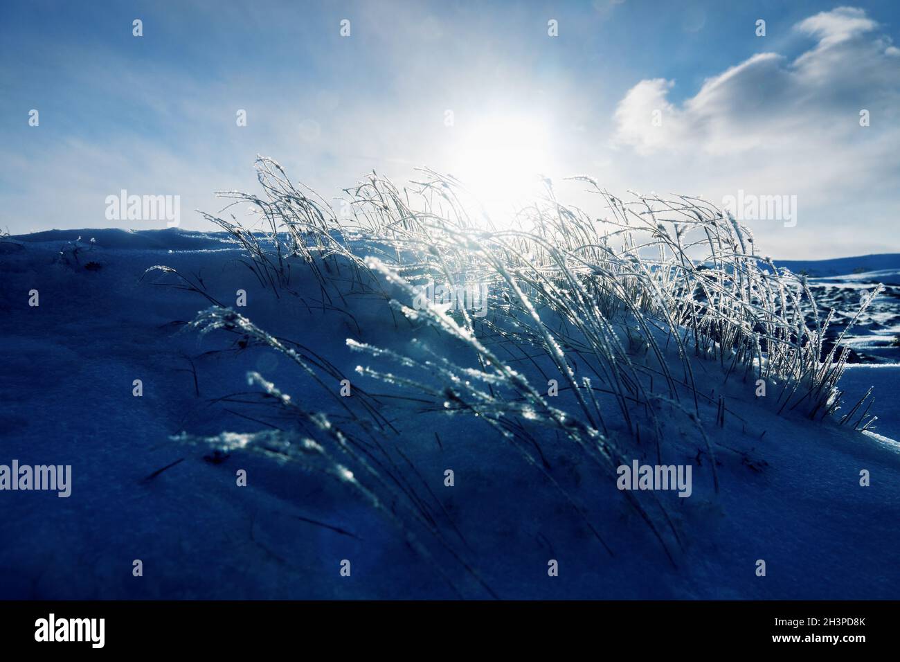 Mountain tundra (alpine tundra) in winter Stock Photo - Alamy