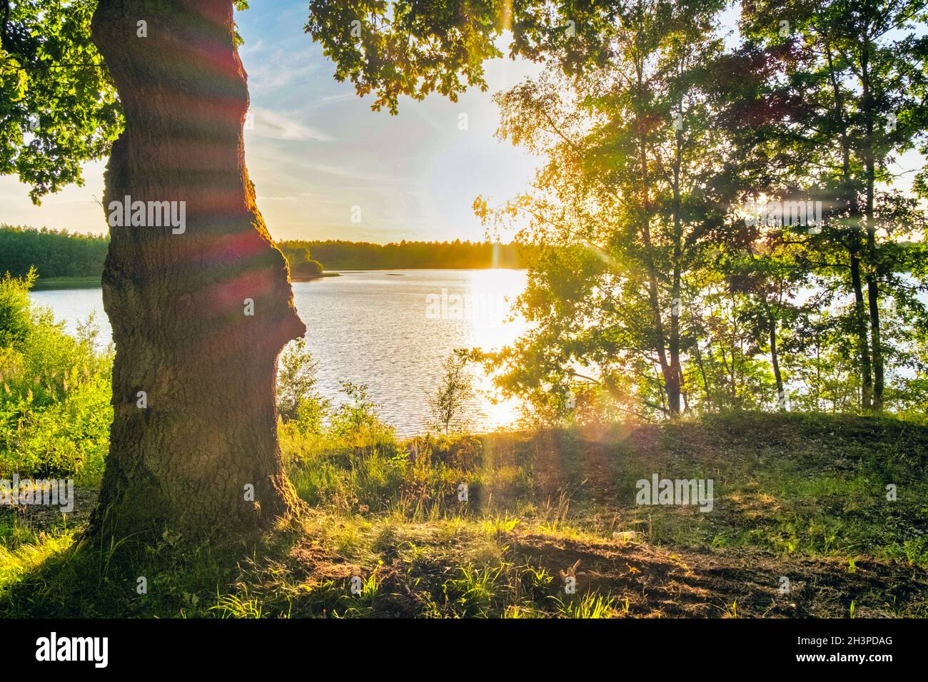 Gold sunset over river with sun rays, tree silhouettes and reflection ...
