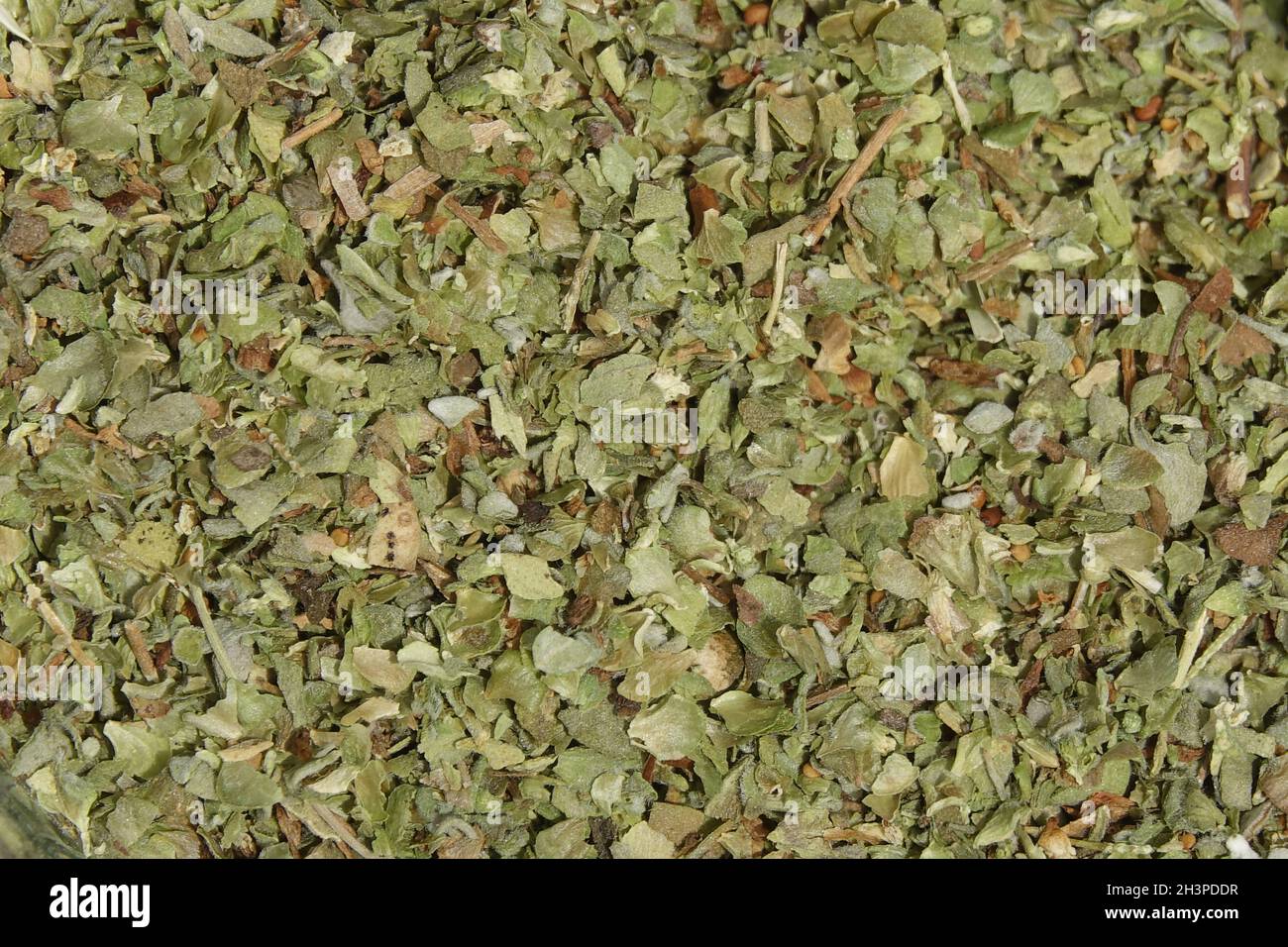 Herb origanum majorana hi-res stock photography and images - Alamy