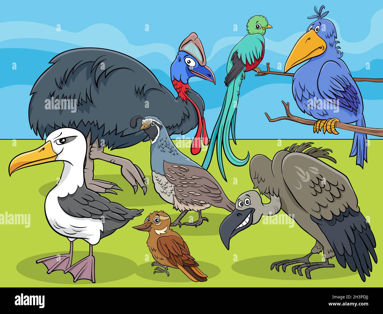 Birds animal characters group cartoon illustration Stock Photo - Alamy