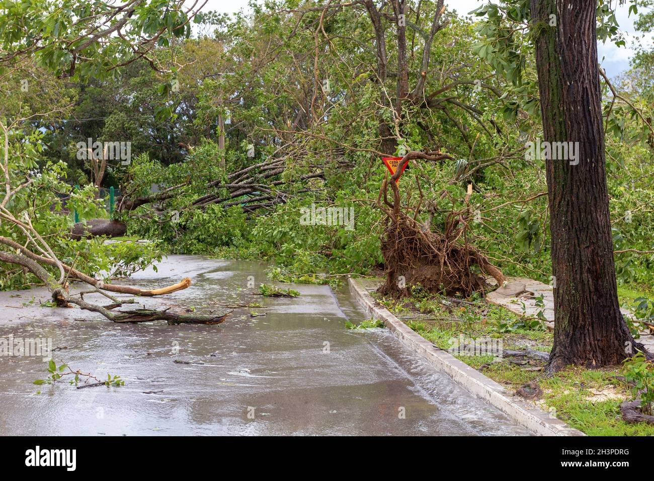 Hurricane damage caribbean hi-res stock photography and images - Alamy