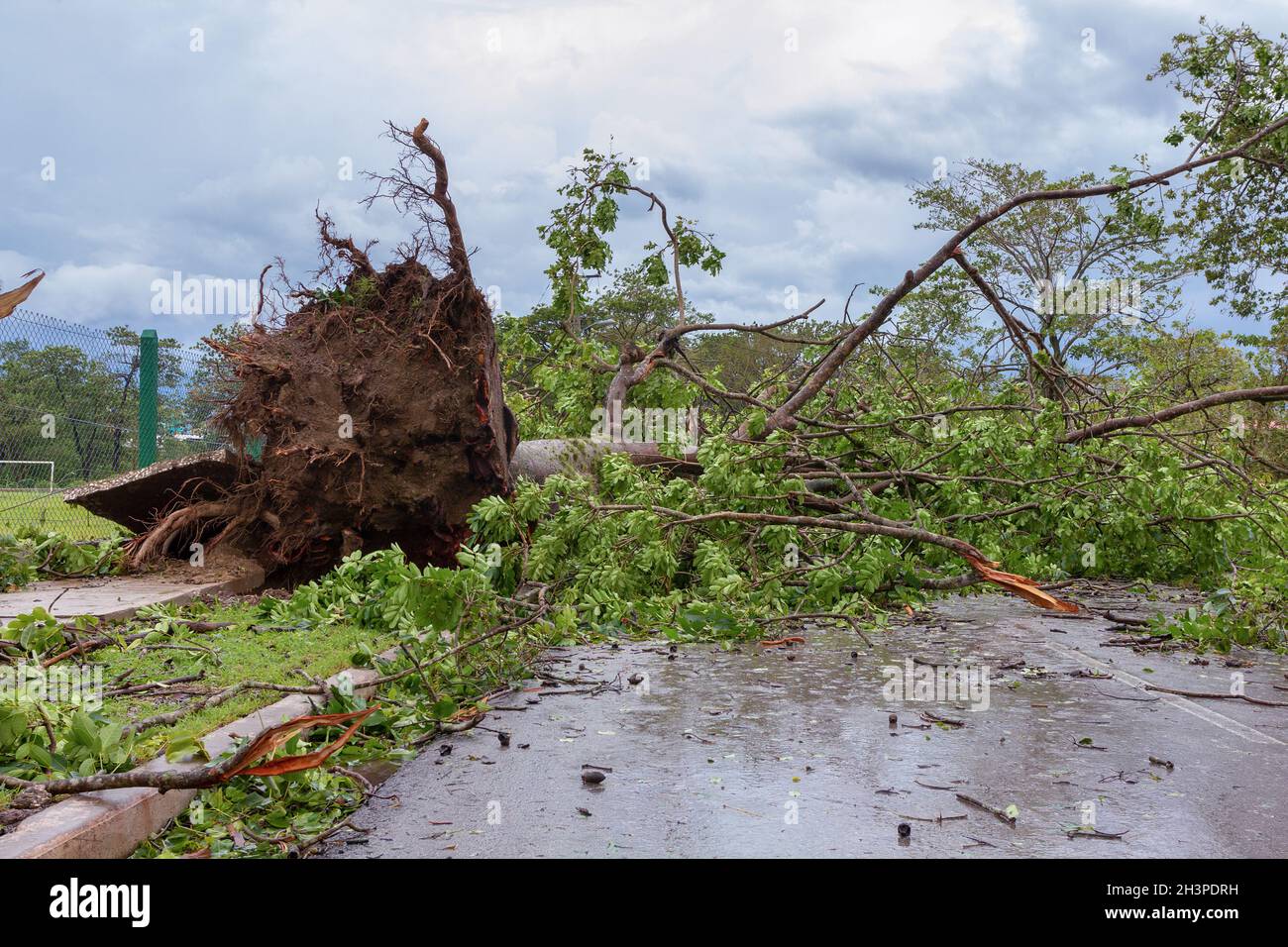 Florida hurricane damage hi-res stock photography and images - Alamy