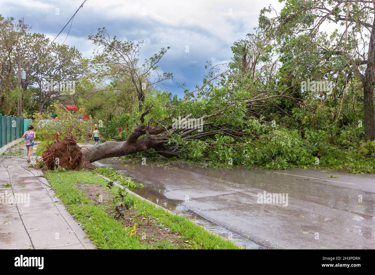 Hurricane damage caribbean hi-res stock photography and images - Alamy