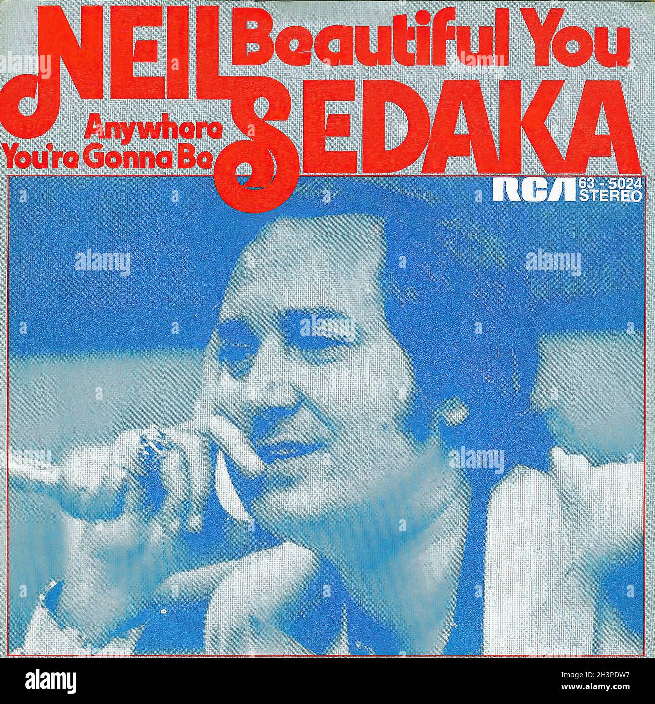 Vintage Vinyl Recording - Sedaka, Neil - Beautiful You - D - 1972 Stock ...