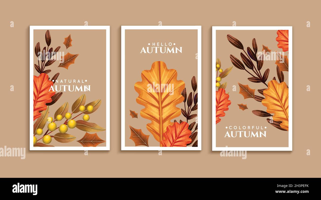 watercolor autumn cards collection vector design illustration Stock ...