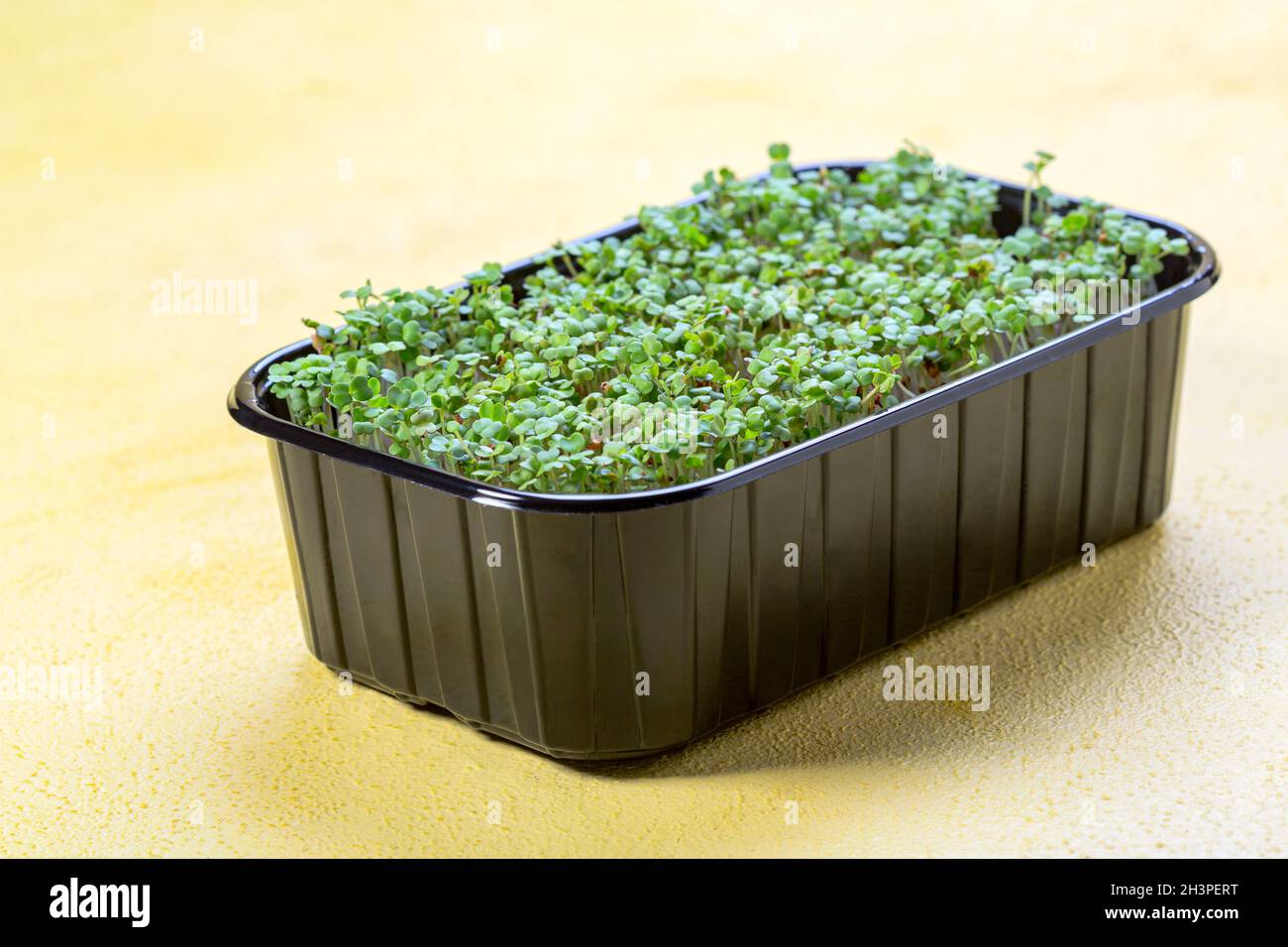 Micro container hi-res stock photography and images - Alamy