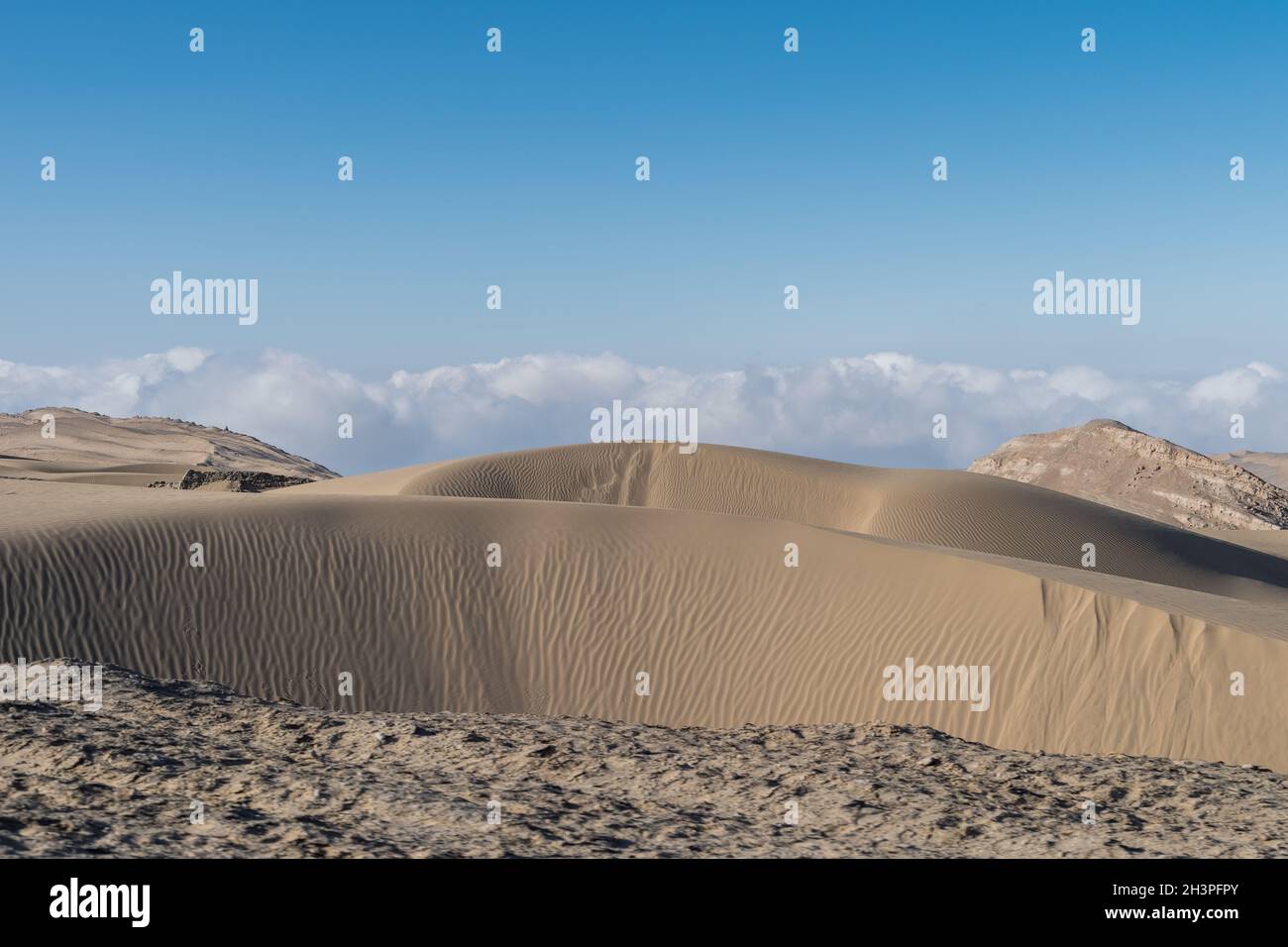 Desertification hi-res stock photography and images - Alamy
