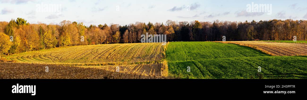 Strip cropping Wisconsin farmland in October, panorama Stock Photo - Alamy