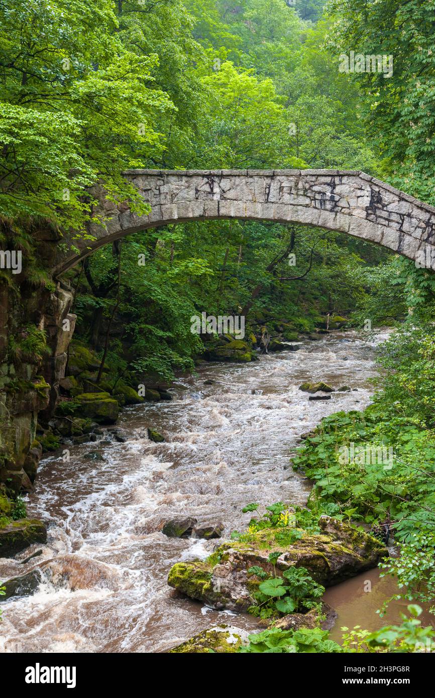 Wildes bodetal hi-res stock photography and images - Alamy